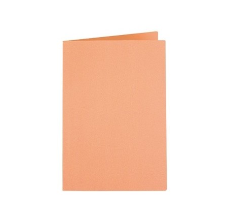 PASTA CARTOLINA A4 S/FERRAGEM CORES